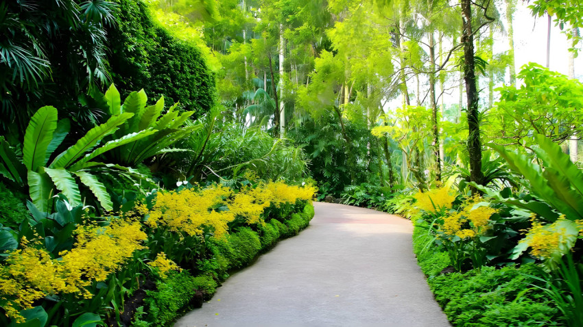[97+] Botanical garden Wallpapers in 4K, HD for Desktop & Phone