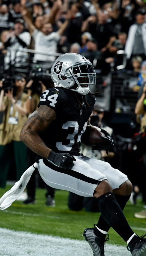 [83+] Raiders Wallpapers in 4K, HD for Desktop & Phone