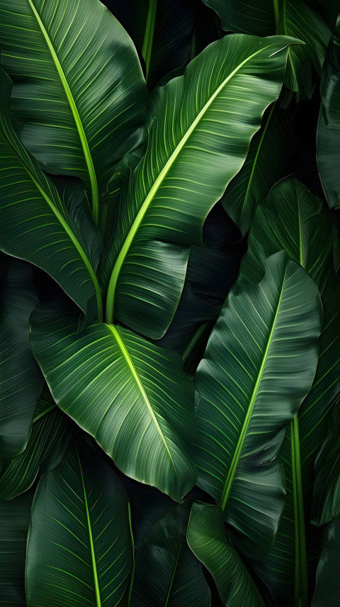 [97+] Botanical garden Wallpapers in 4K, HD for Desktop & Phone