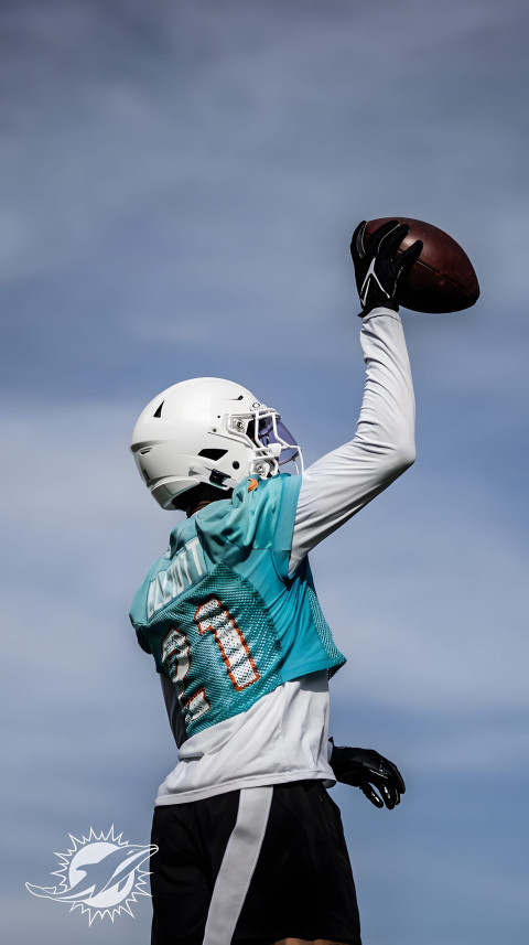 [93+] Miami Dolphins Wallpapers in 4K, HD for Desktop & Phone