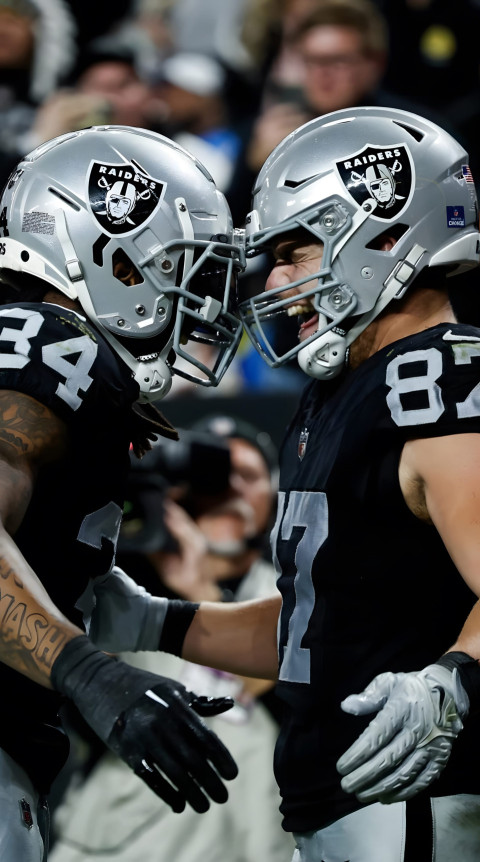 [83+] Raiders Wallpapers in 4K, HD for Desktop & Phone