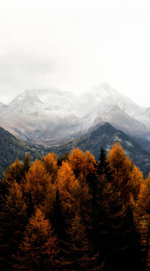 [93+] Fall Aesthetic Wallpapers in 4K, HD for Desktop & Phone